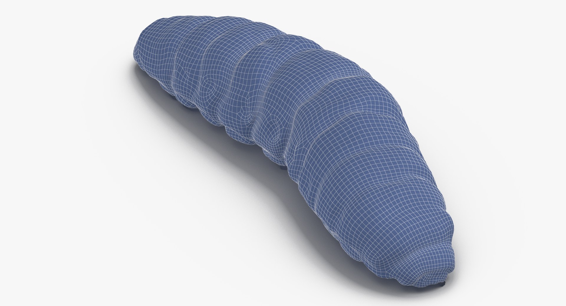 3D Maggot Crawling Model - TurboSquid 1375521