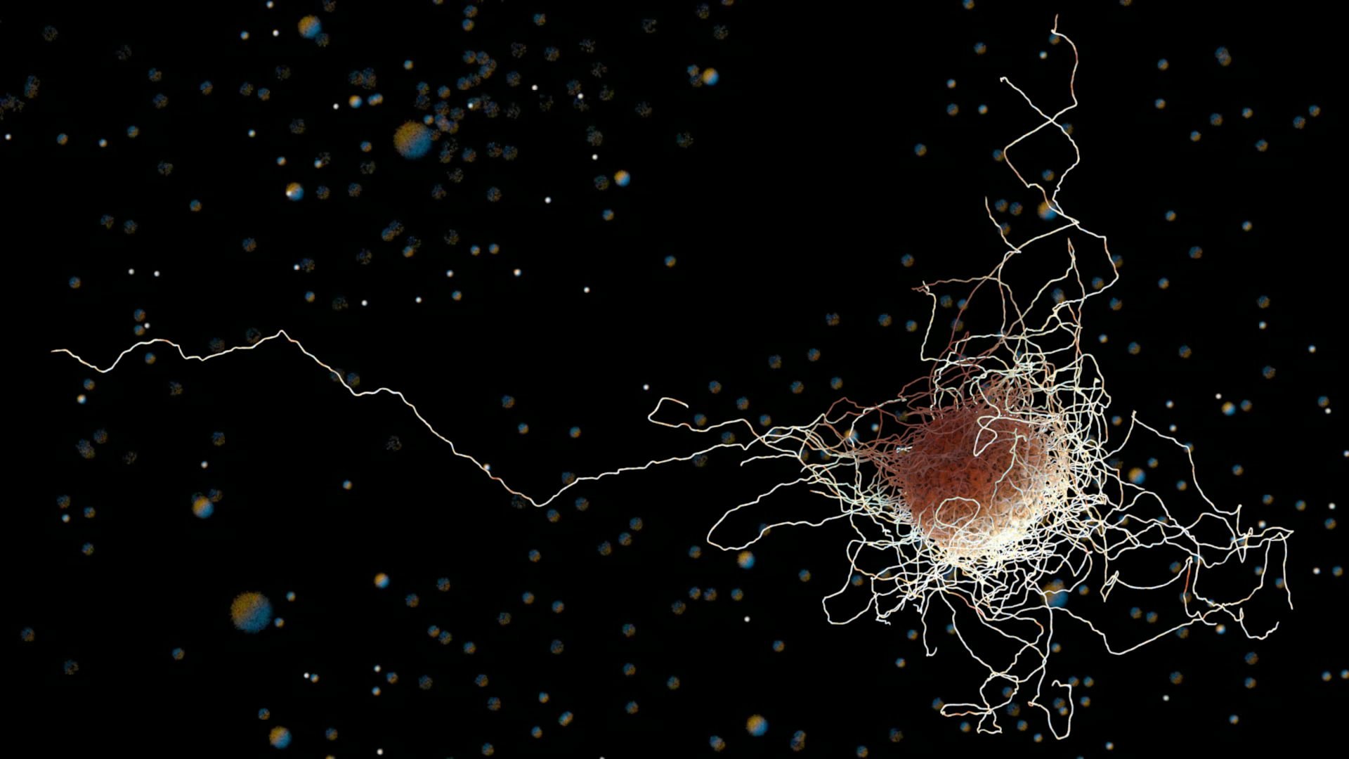 3d cell macrophage