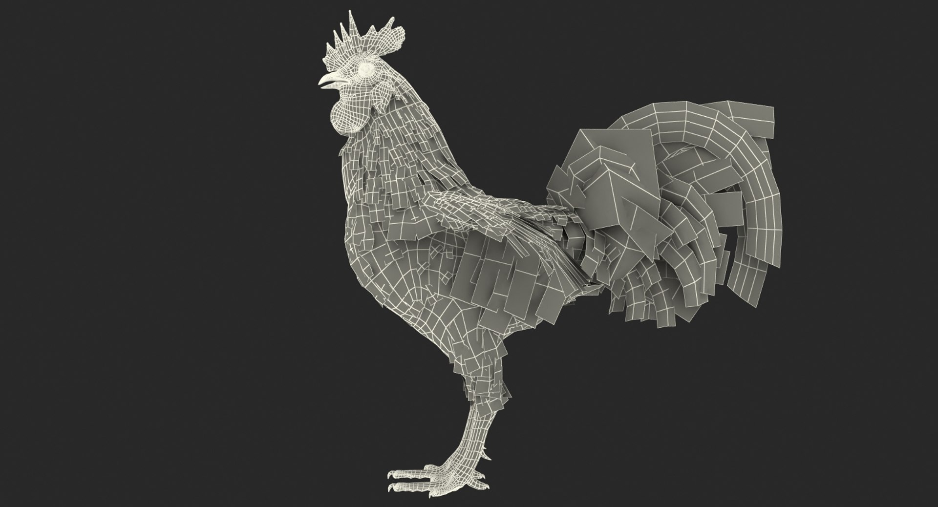 3d rooster colors realistic model