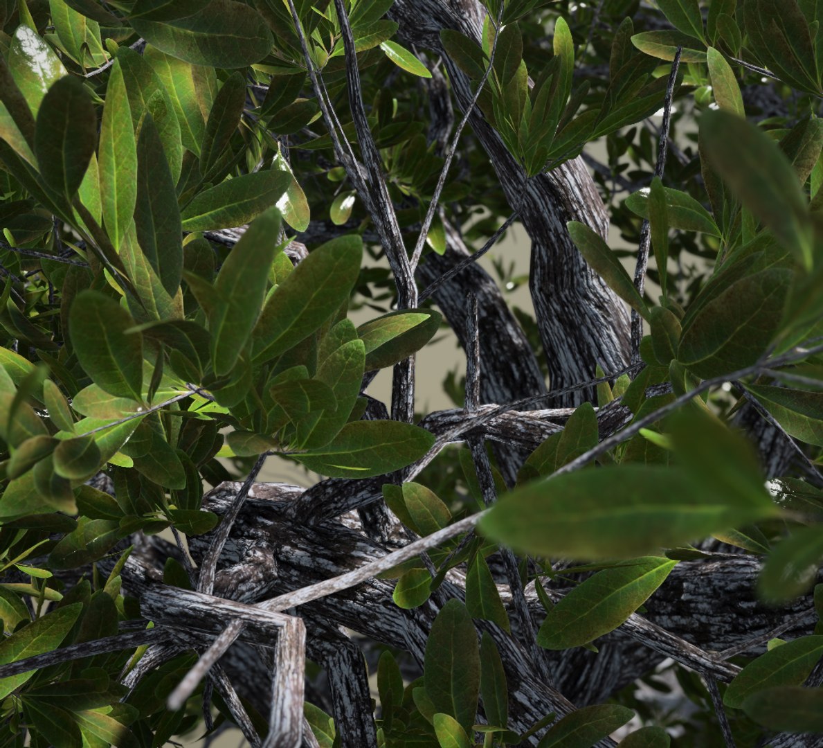 3D Model Tree - TurboSquid 1573337