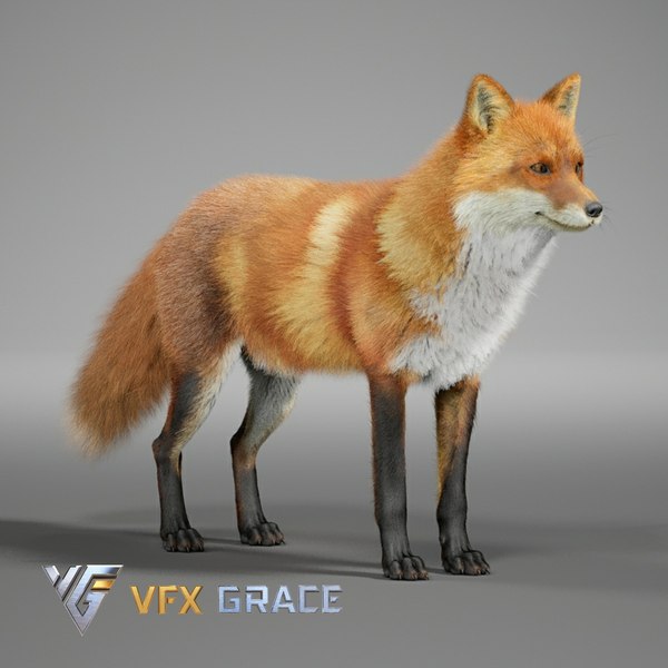 Red Fox - UE 角色资源3D模型 - TurboSquid 2168939