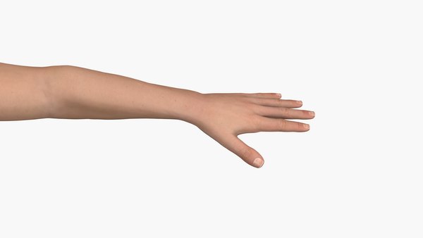 Free Hand model - TurboSquid 1836788
