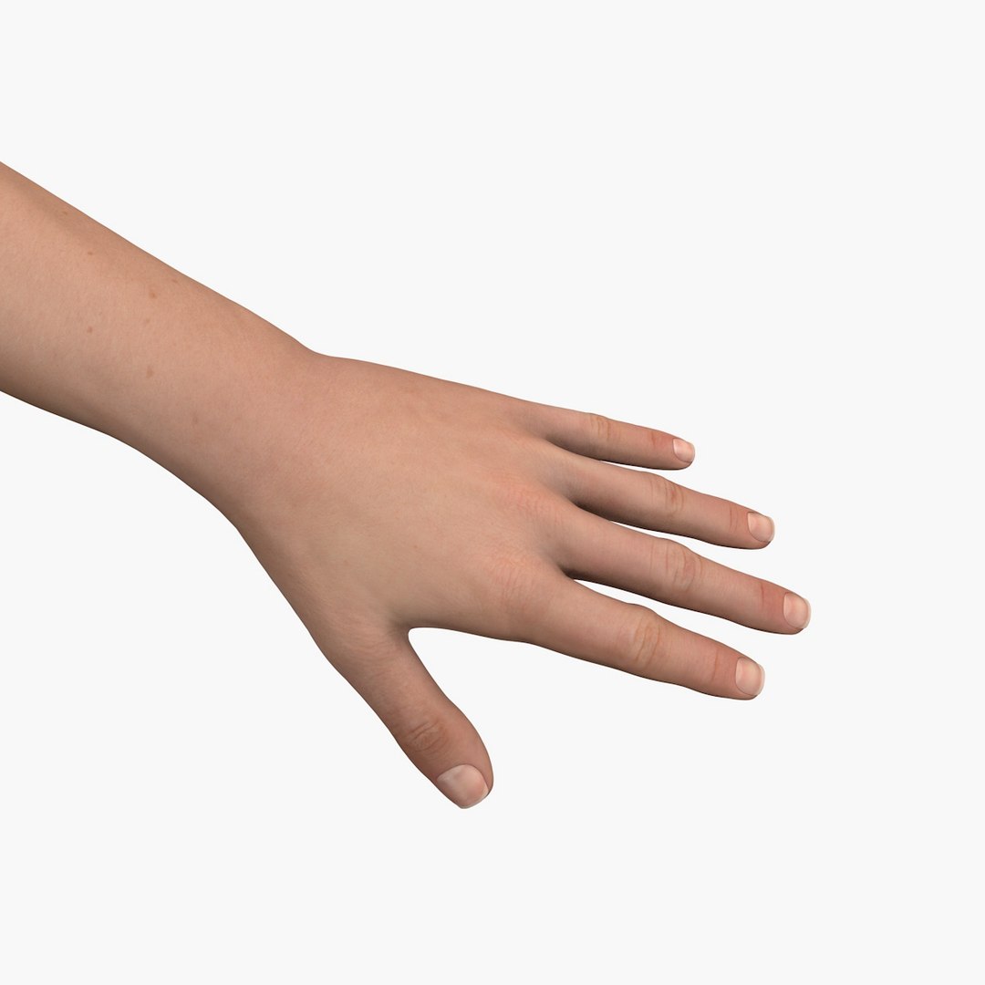 Free Hand model - TurboSquid 1836788