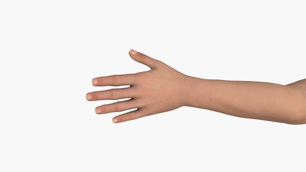 Free Hand model - TurboSquid 1836788