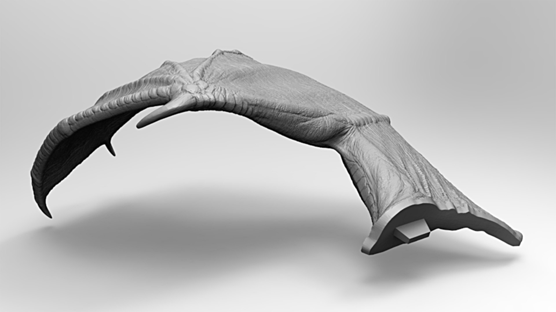 Dragon Kit 3D Model - TurboSquid 2016272