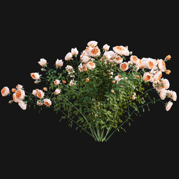 3D Bundle 08 – Rose garden model - TurboSquid 1734272