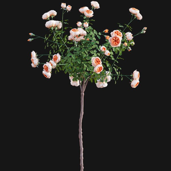 3D Bundle 08 – Rose garden model - TurboSquid 1734272