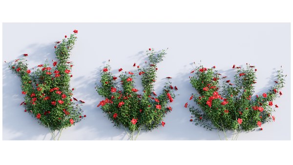 3D Bundle 08 – Rose garden model - TurboSquid 1734272