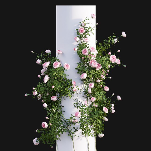 3D Bundle 08 – Rose garden model - TurboSquid 1734272