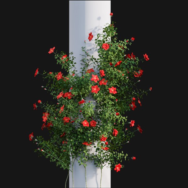 3D Bundle 08 – Rose garden model - TurboSquid 1734272