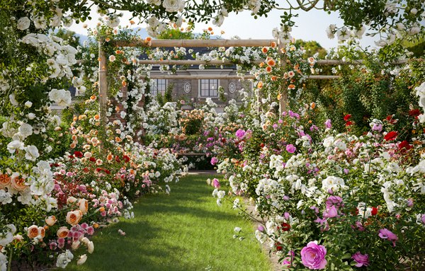 3D Bundle 08 – Rose garden model - TurboSquid 1734272