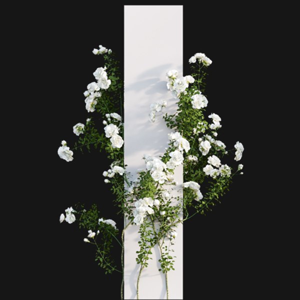 3D Bundle 08 – Rose garden model - TurboSquid 1734272