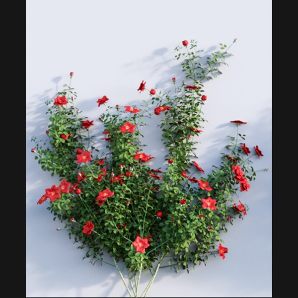 3D Bundle 08 – Rose garden model - TurboSquid 1734272