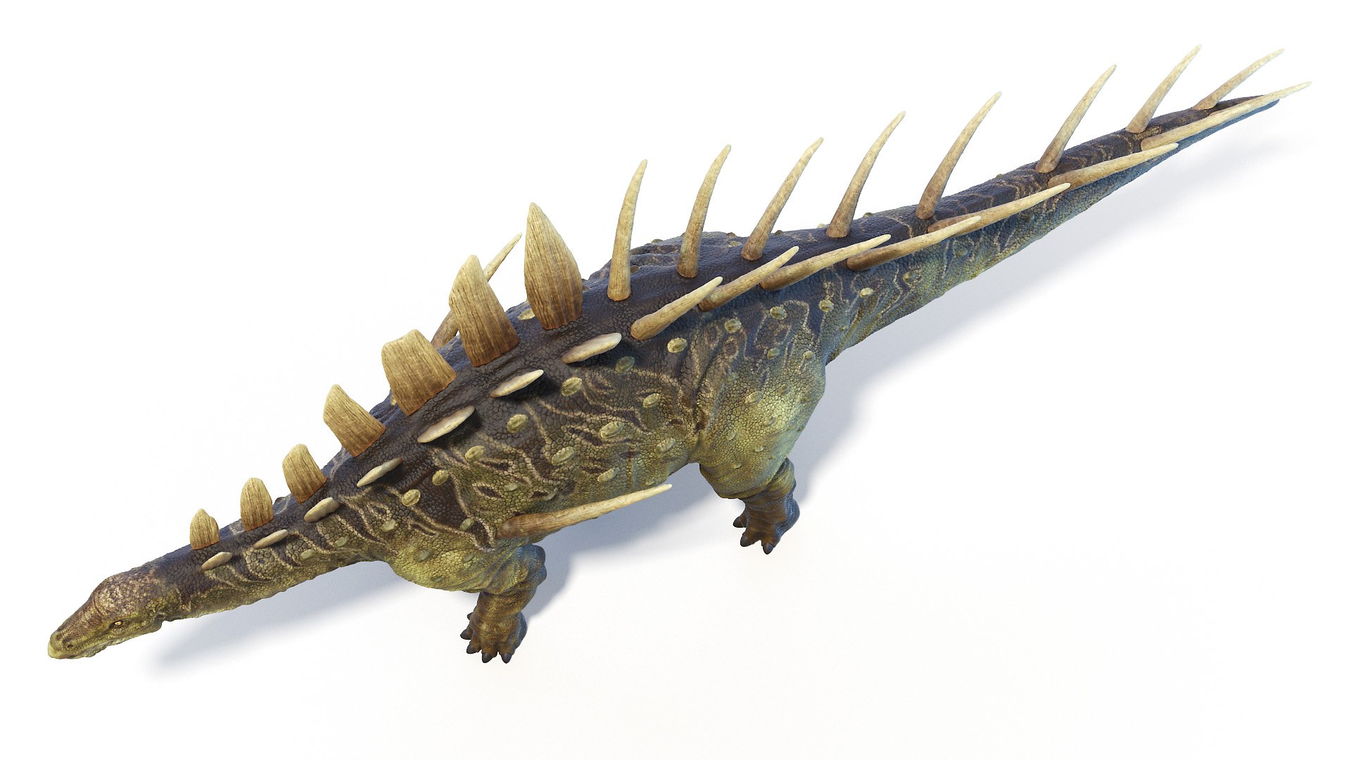 3D Kentrosaurus Animated - TurboSquid 1923440