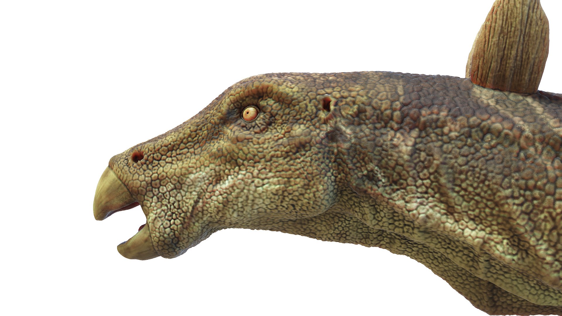 3D Kentrosaurus Animated - TurboSquid 1923440