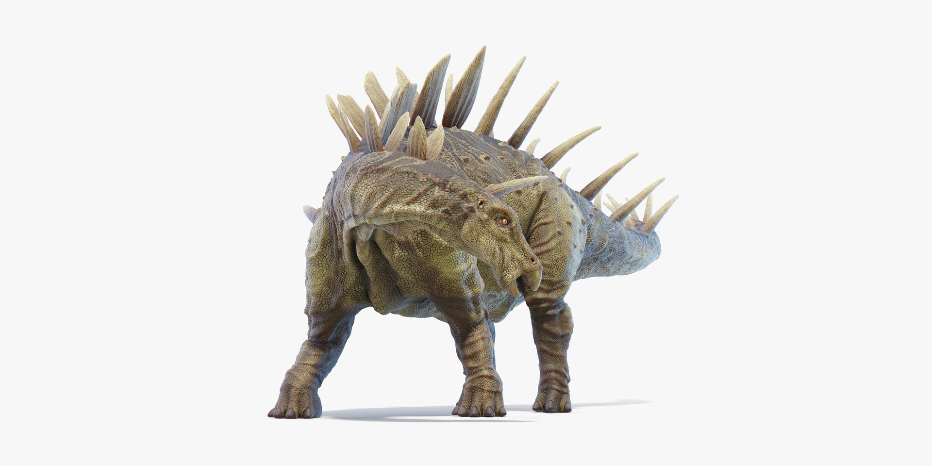 Kentrosaurus