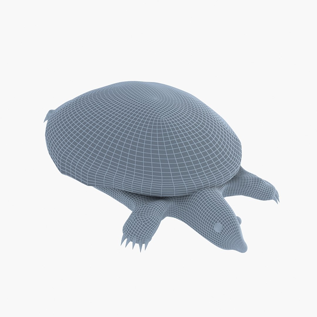 3D Turtle Trionyx Sinensis Model - TurboSquid 1495130