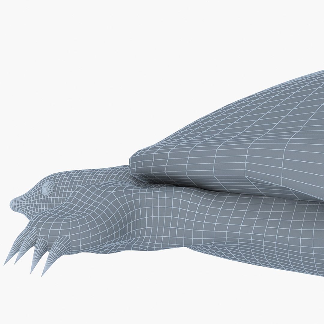 3D Turtle Trionyx Sinensis Model - TurboSquid 1495130