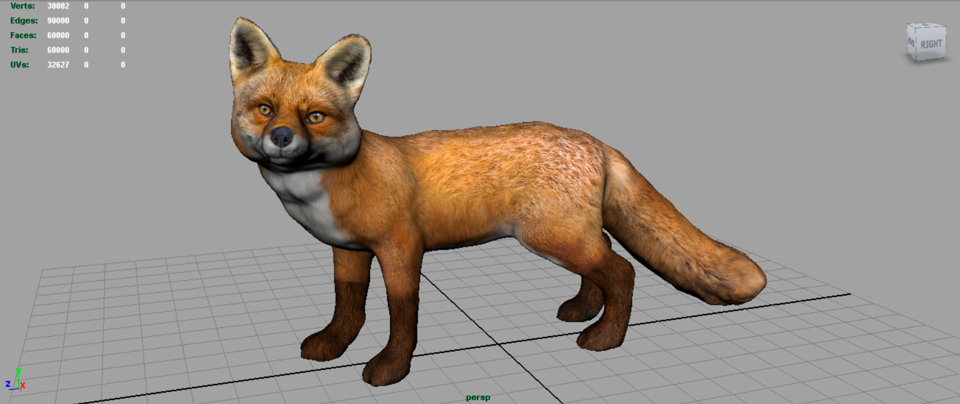 3D hd fox - TurboSquid 1149107