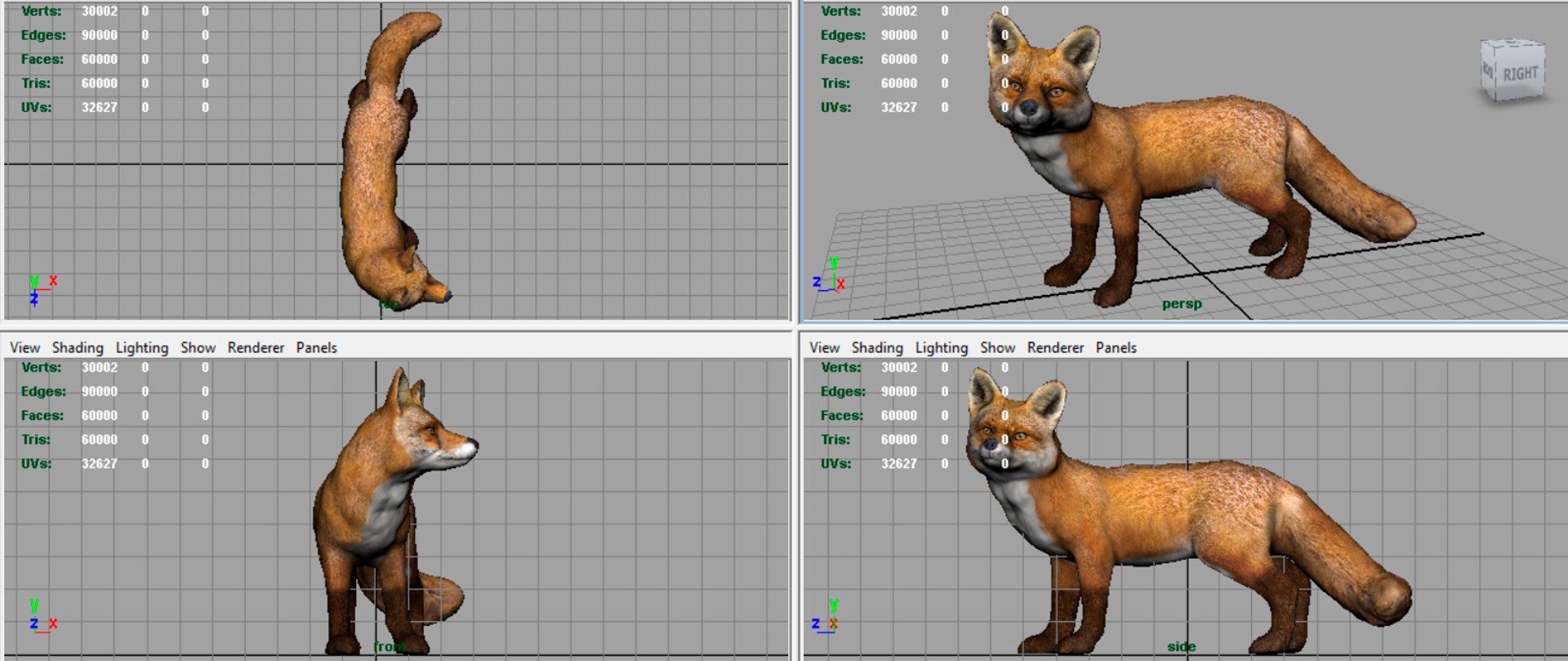 3D Hd Fox - TurboSquid 1149107