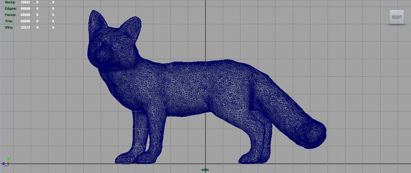 3D hd fox - TurboSquid 1149107