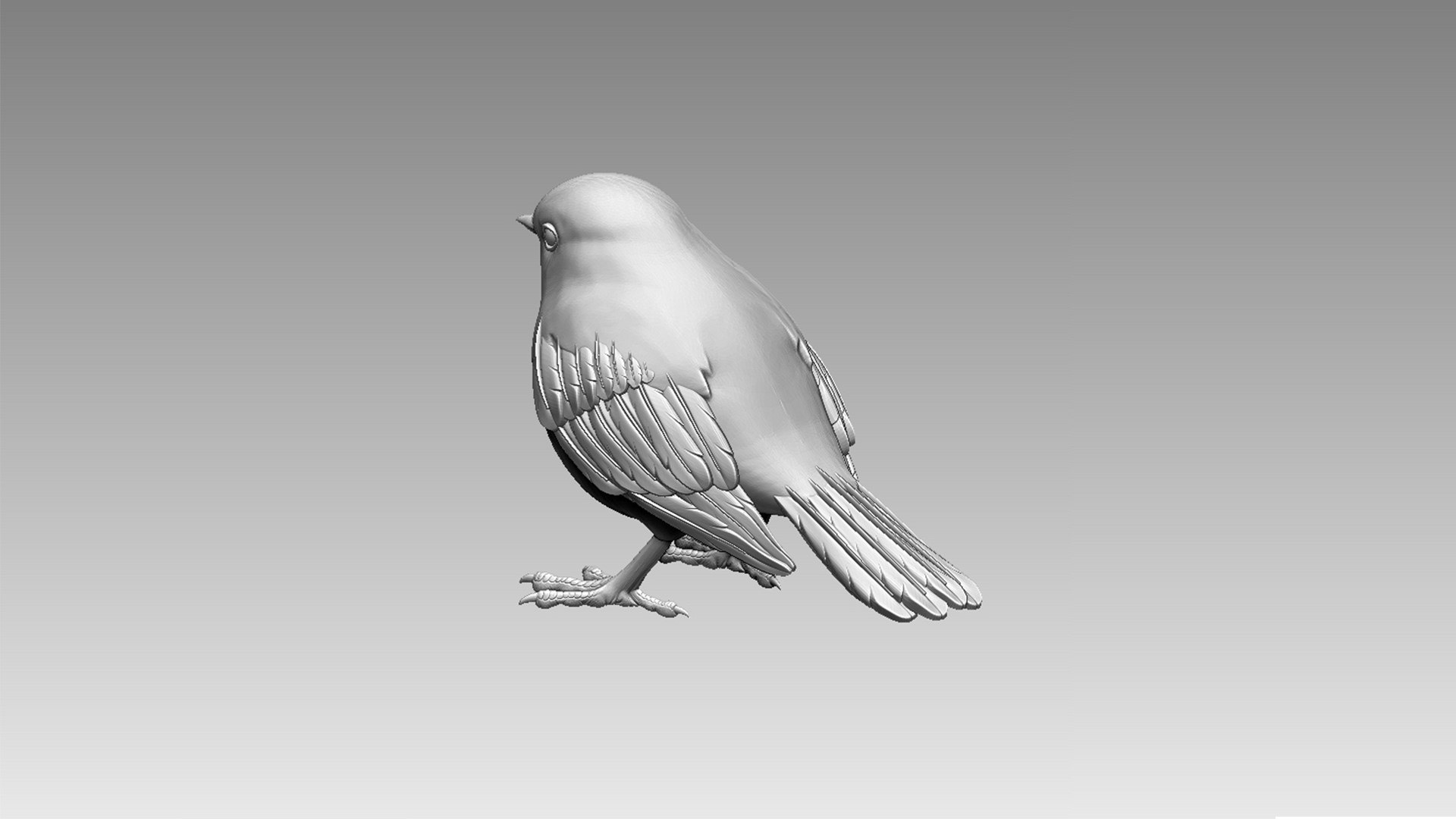 Bird Model - TurboSquid 2125051