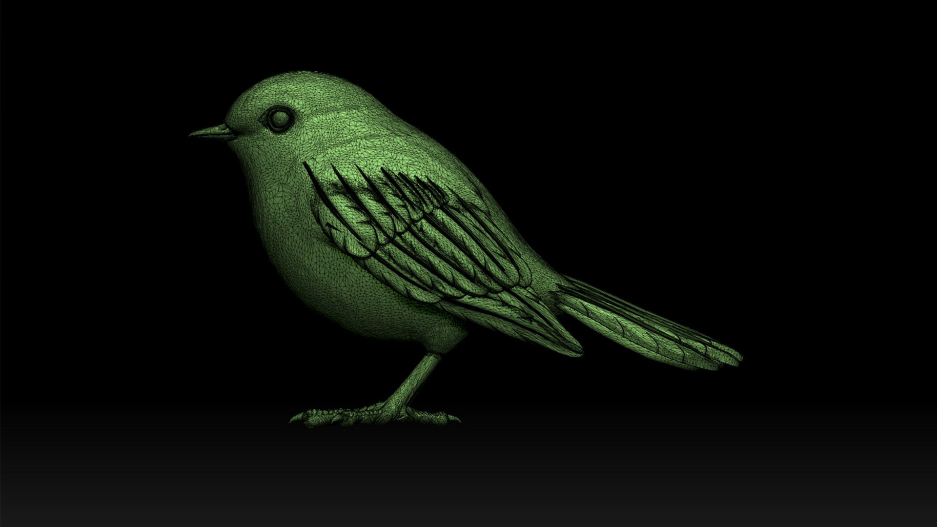 Bird Model - TurboSquid 2125051
