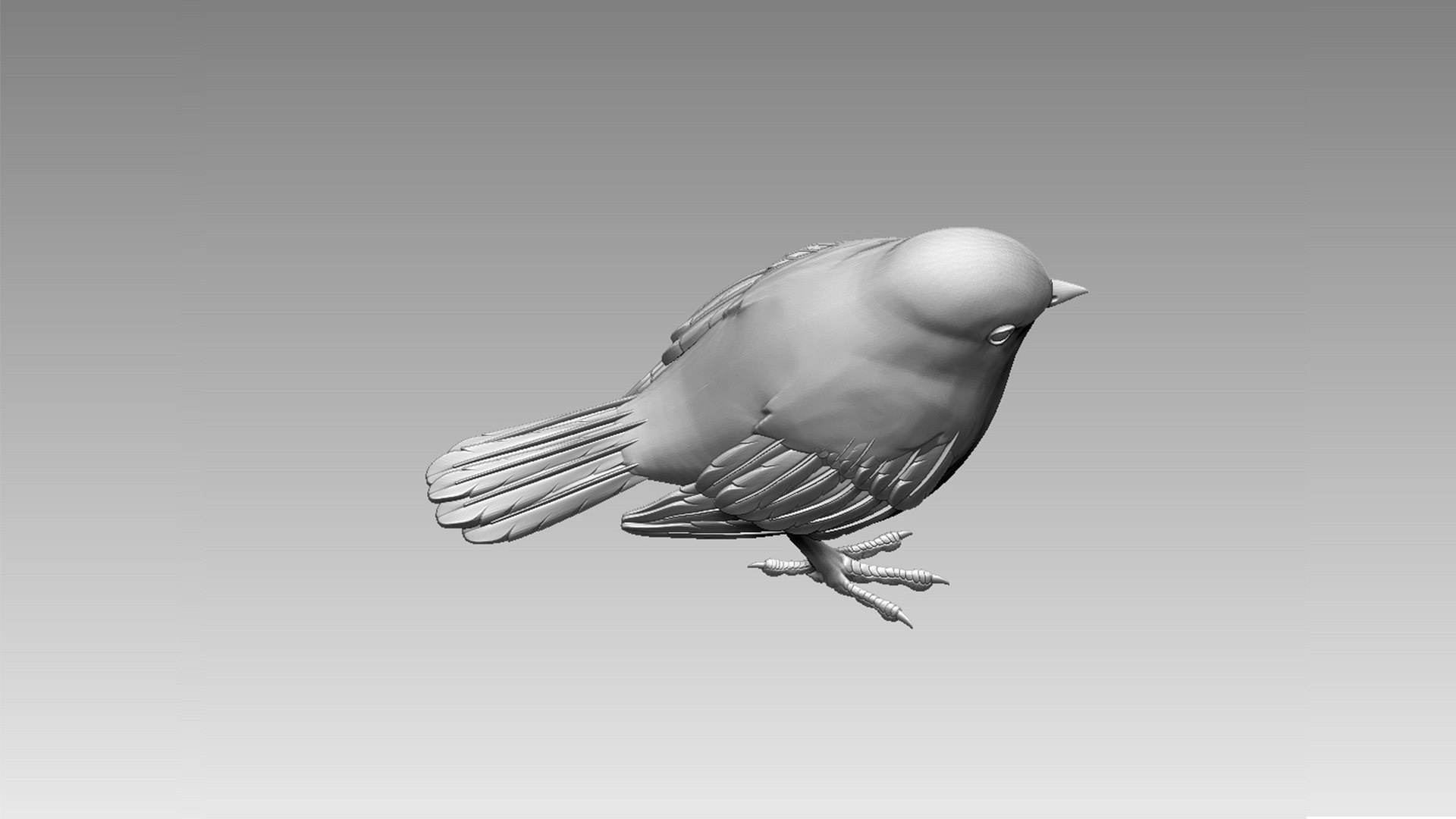 Bird Model - TurboSquid 2125051
