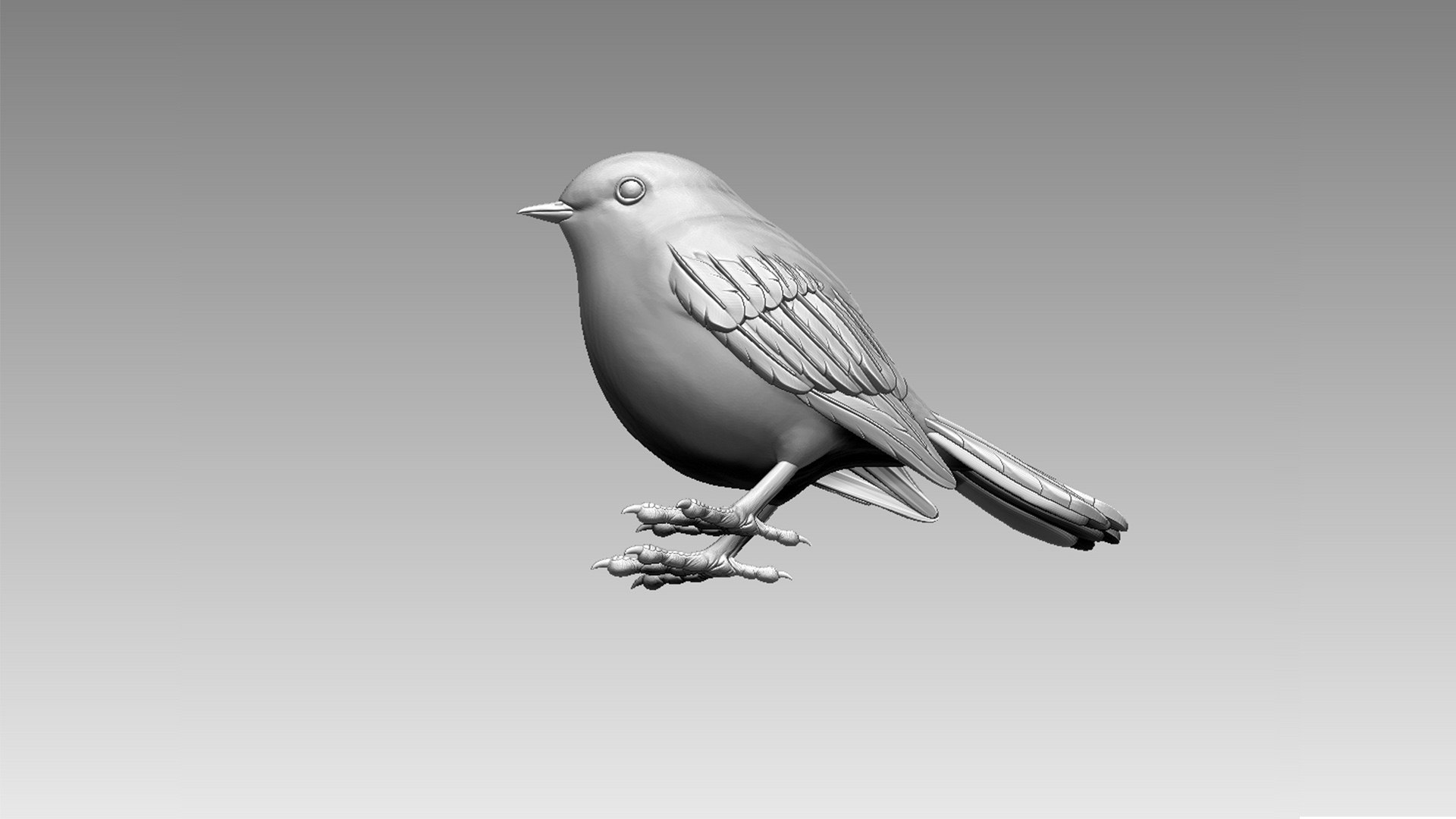 Bird Model - TurboSquid 2125051