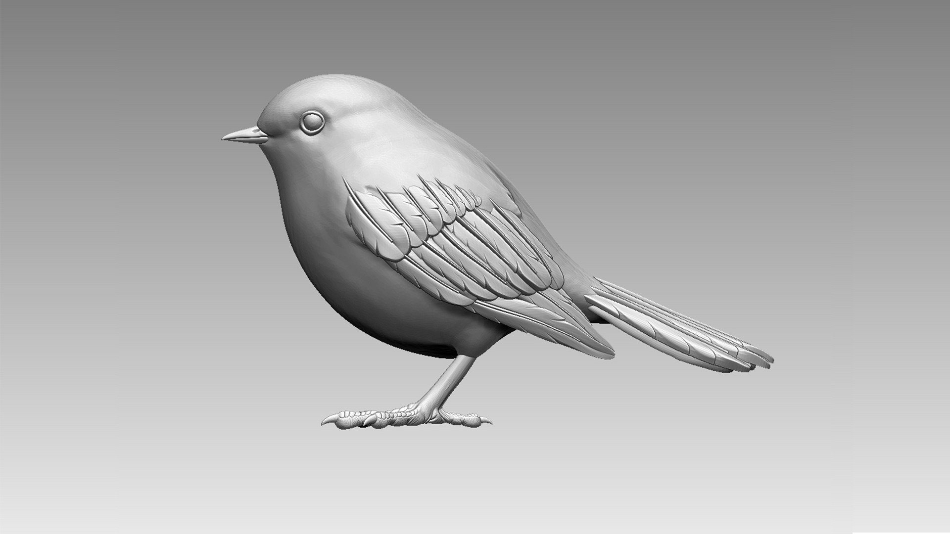 Bird Model - TurboSquid 2125051