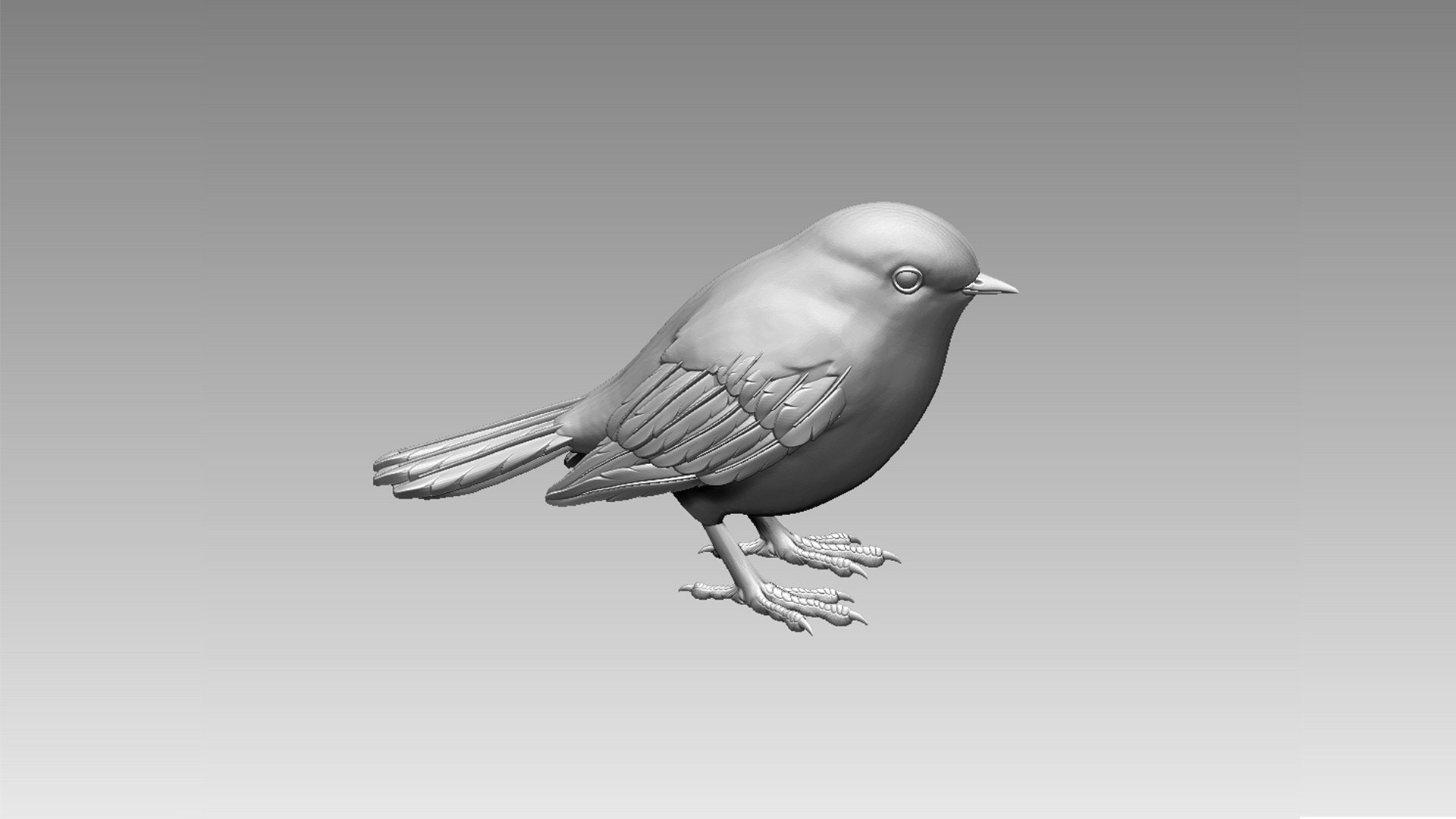 Bird Model - TurboSquid 2125051