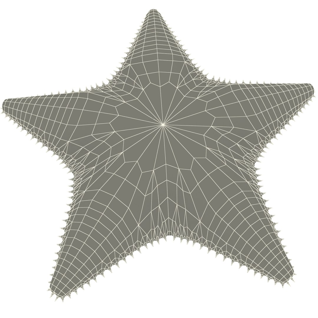 Sea Star 3d Model
