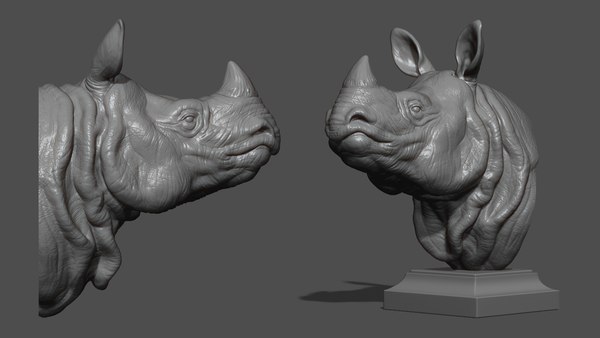 modelo 3d Busto de rinoceronte indio - TurboSquid 2259423