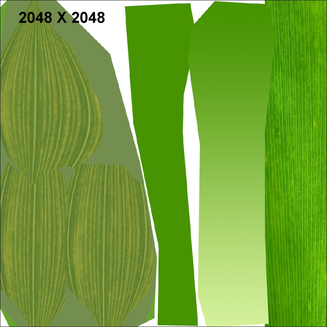 3d Model Oat Plant