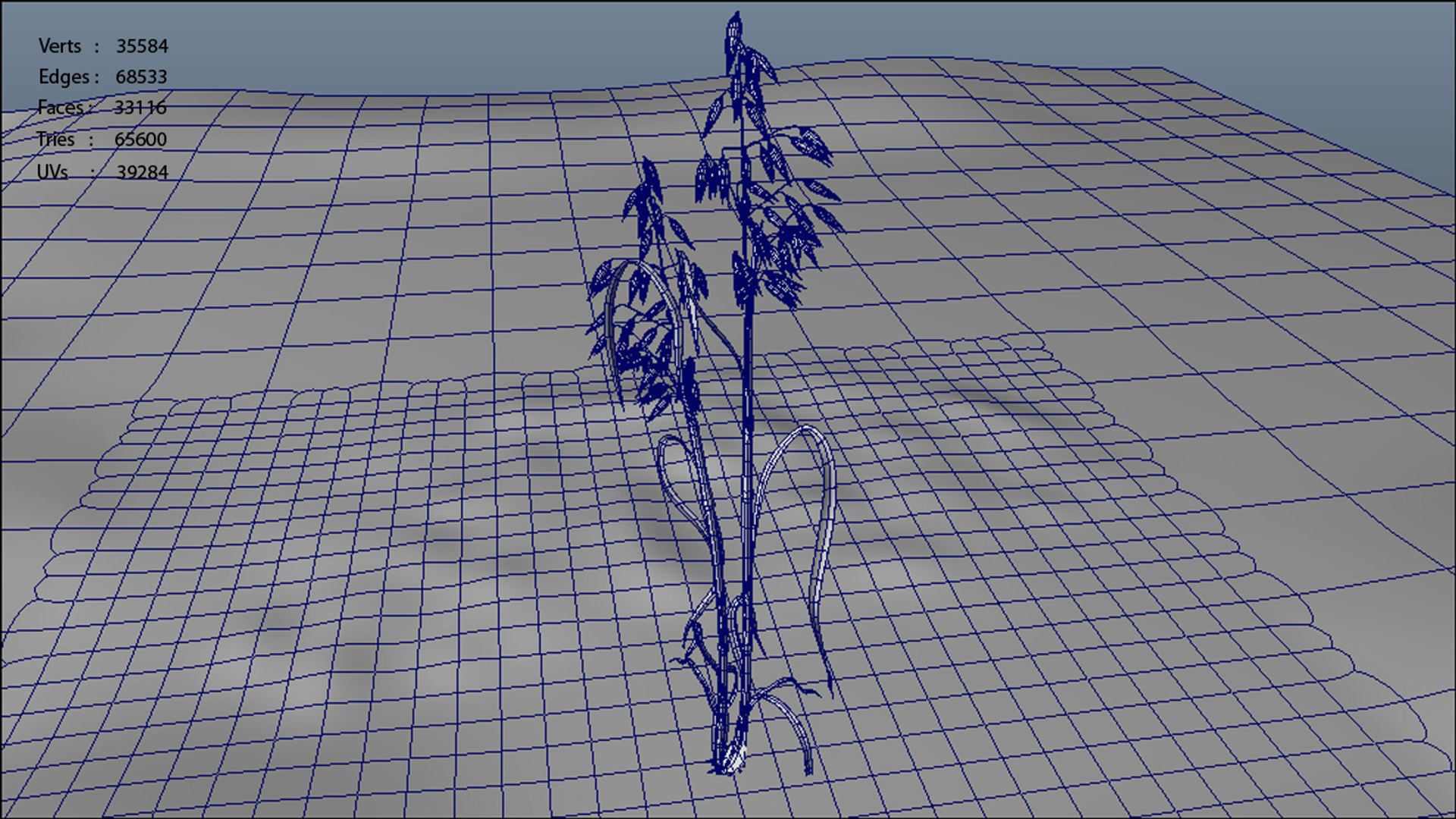 3d Model Oat Plant