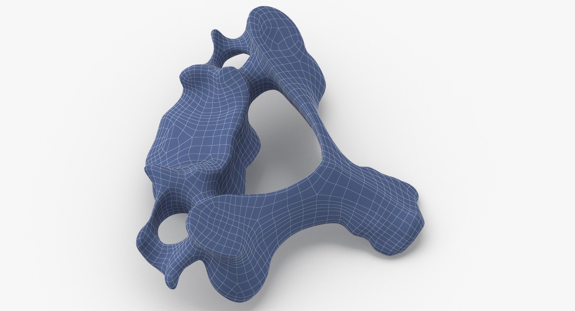 3D Cervical Vertebrae C3 C6 Model - TurboSquid 1567909
