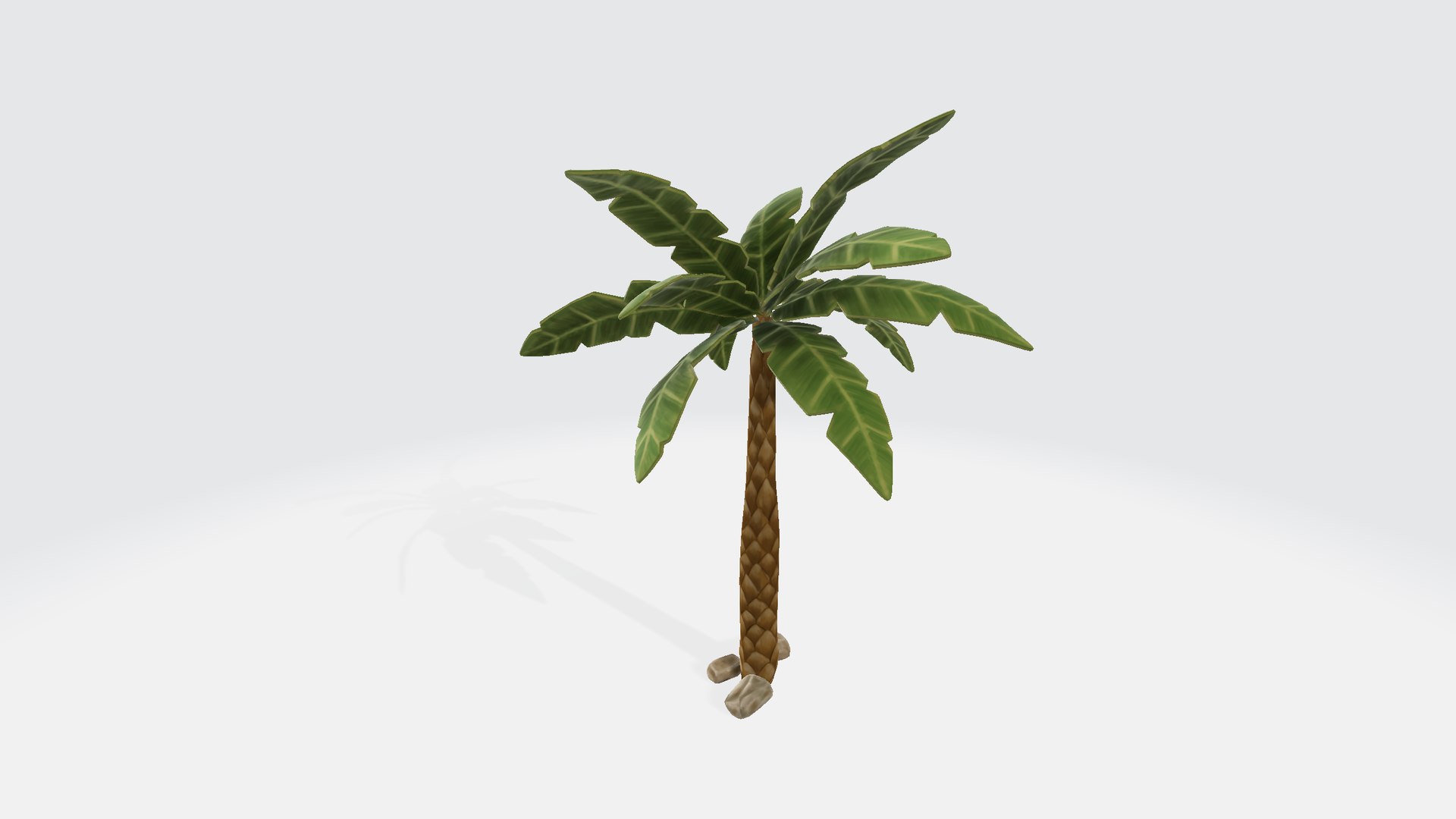 3D Palm Tree Model - TurboSquid 2364975