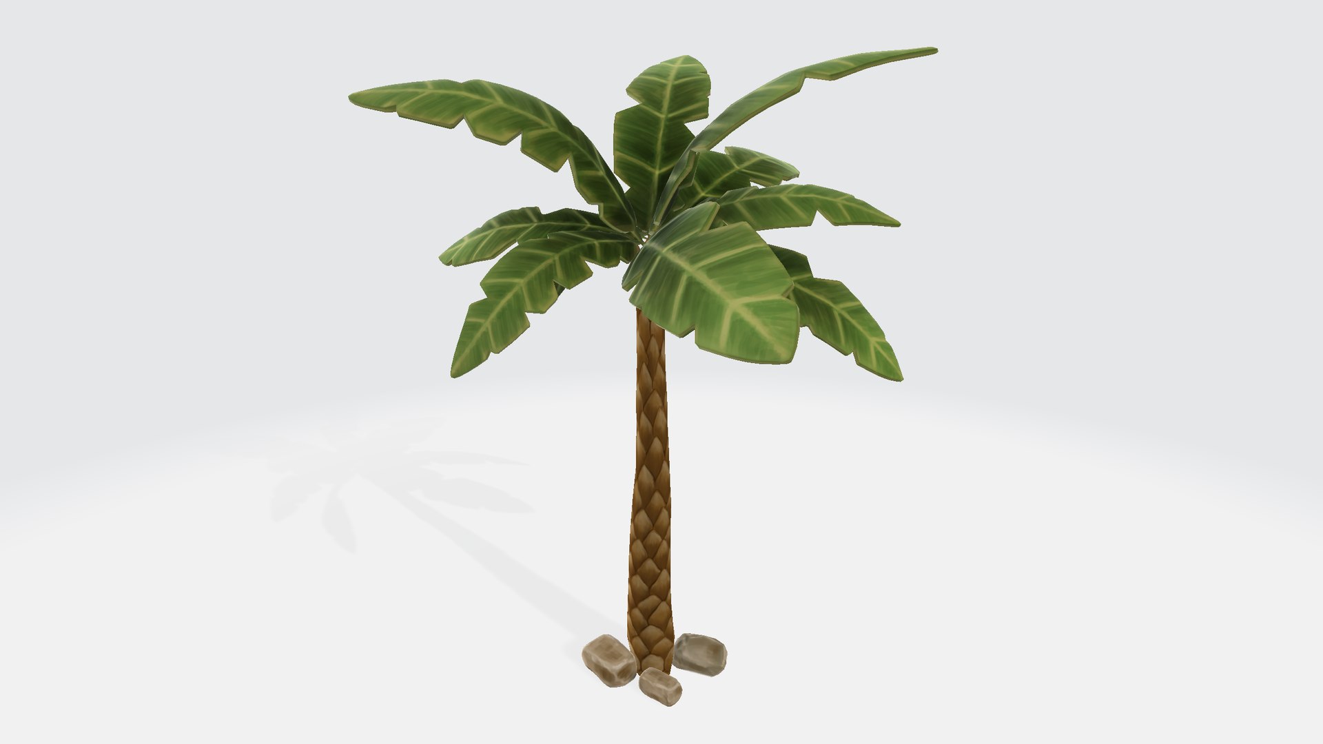 3D Palm Tree Model - TurboSquid 2364975