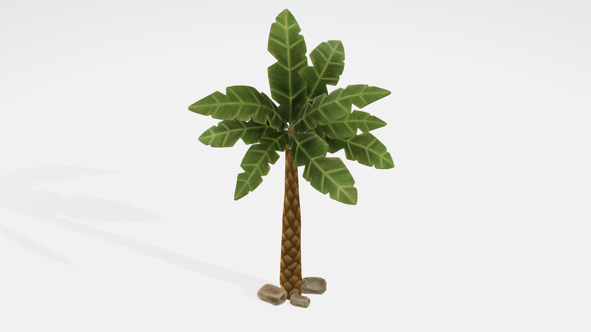 3D Palm Tree Model - TurboSquid 2364975