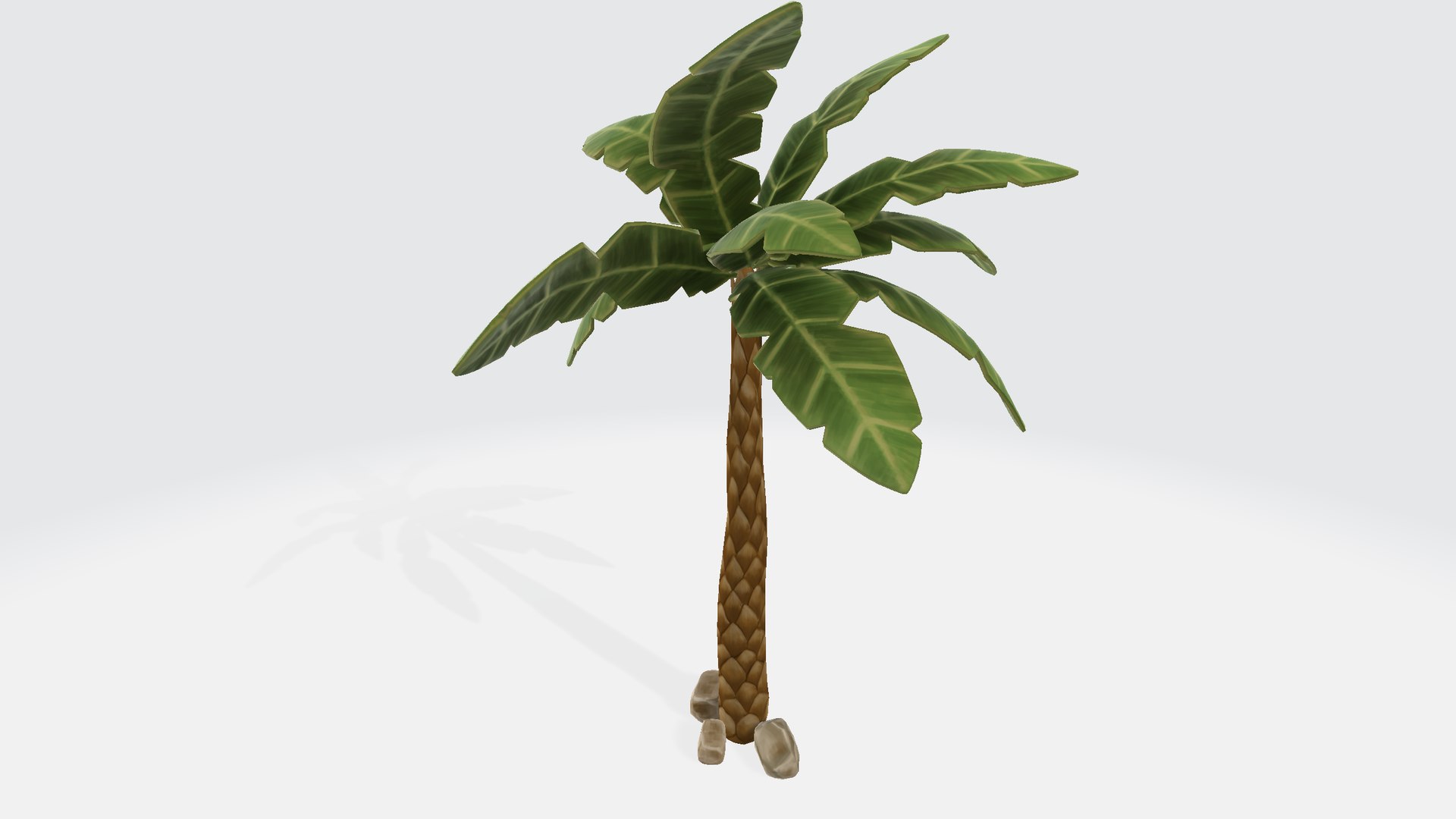 3D Palm Tree Model - TurboSquid 2364975