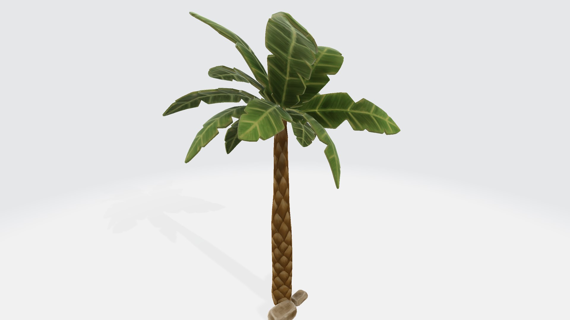 3D Palm Tree Model - TurboSquid 2364975