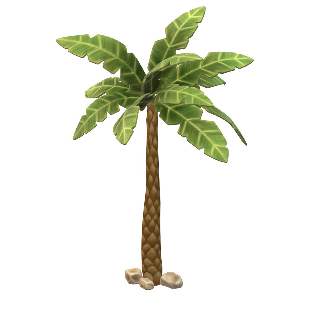 3D Palm Tree Model - TurboSquid 2364975