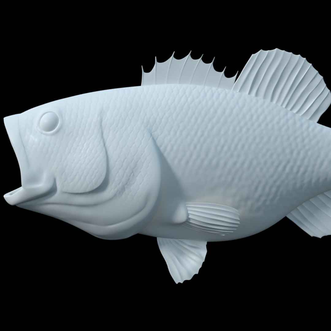 Largemouth Bass Fish 3d Model
