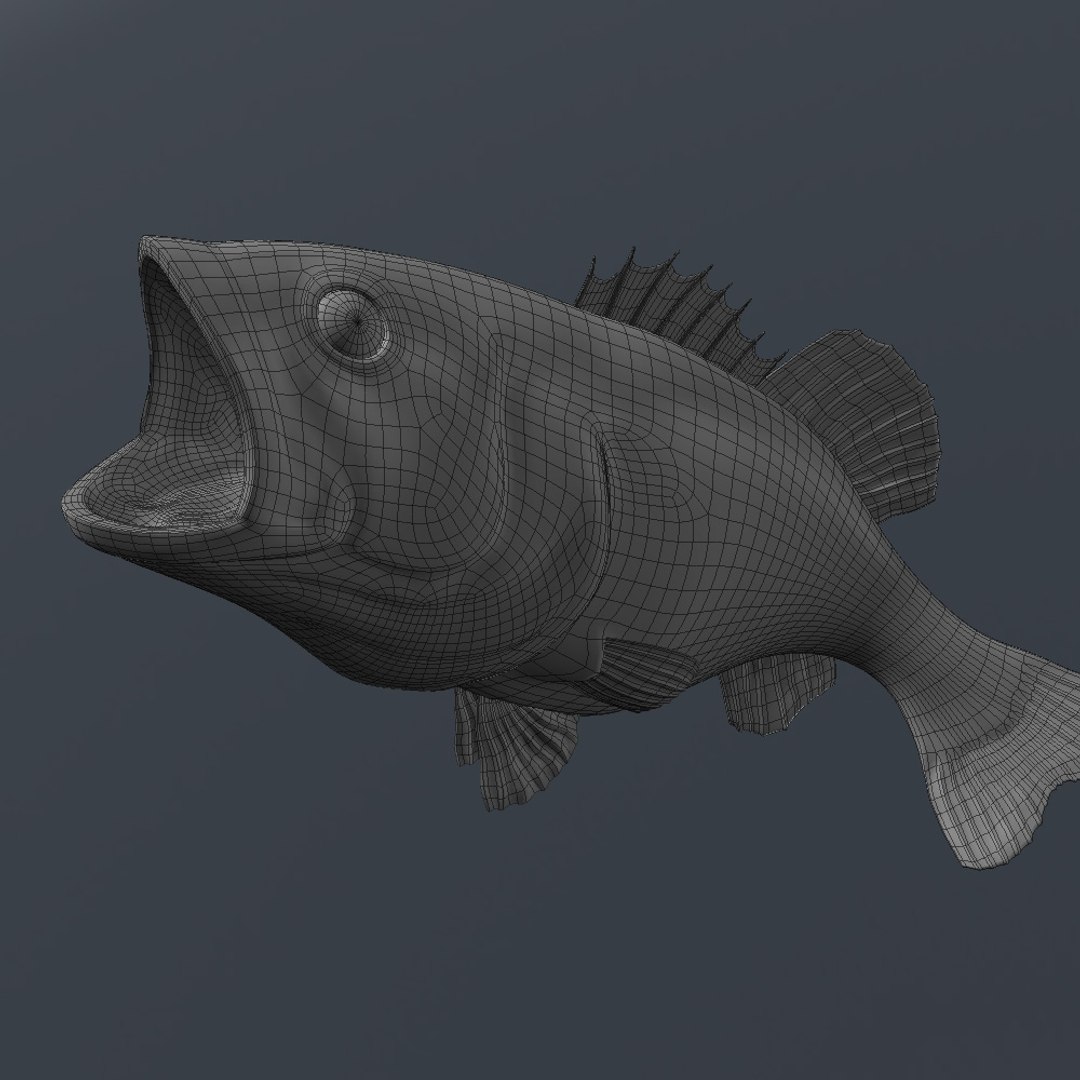 Largemouth Bass Fish 3d Model