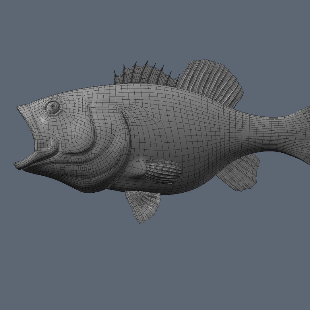 Largemouth Bass Fish 3d Model