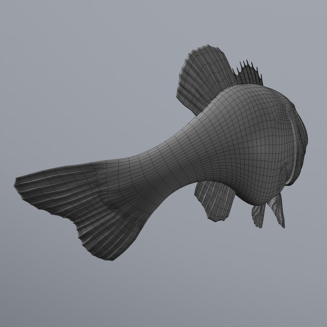 Largemouth Bass Fish 3d Model