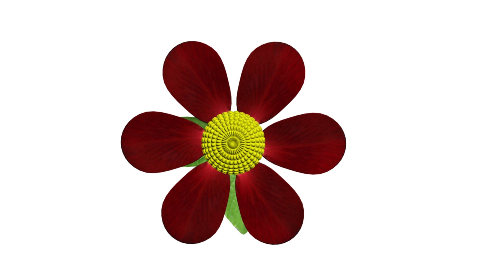 Red Flower 3D Model - TurboSquid 1157837