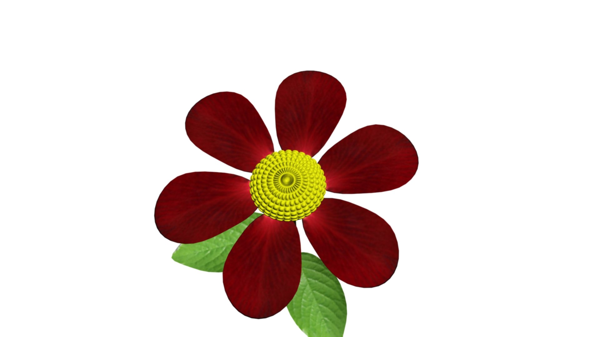 Red Flower 3D Model - TurboSquid 1157837