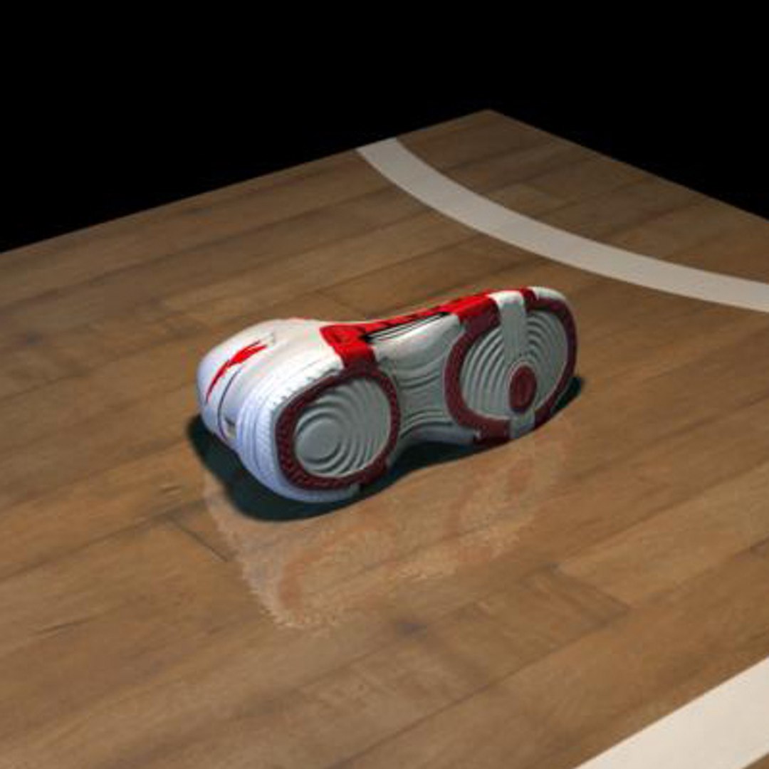 Trainer 3d Model