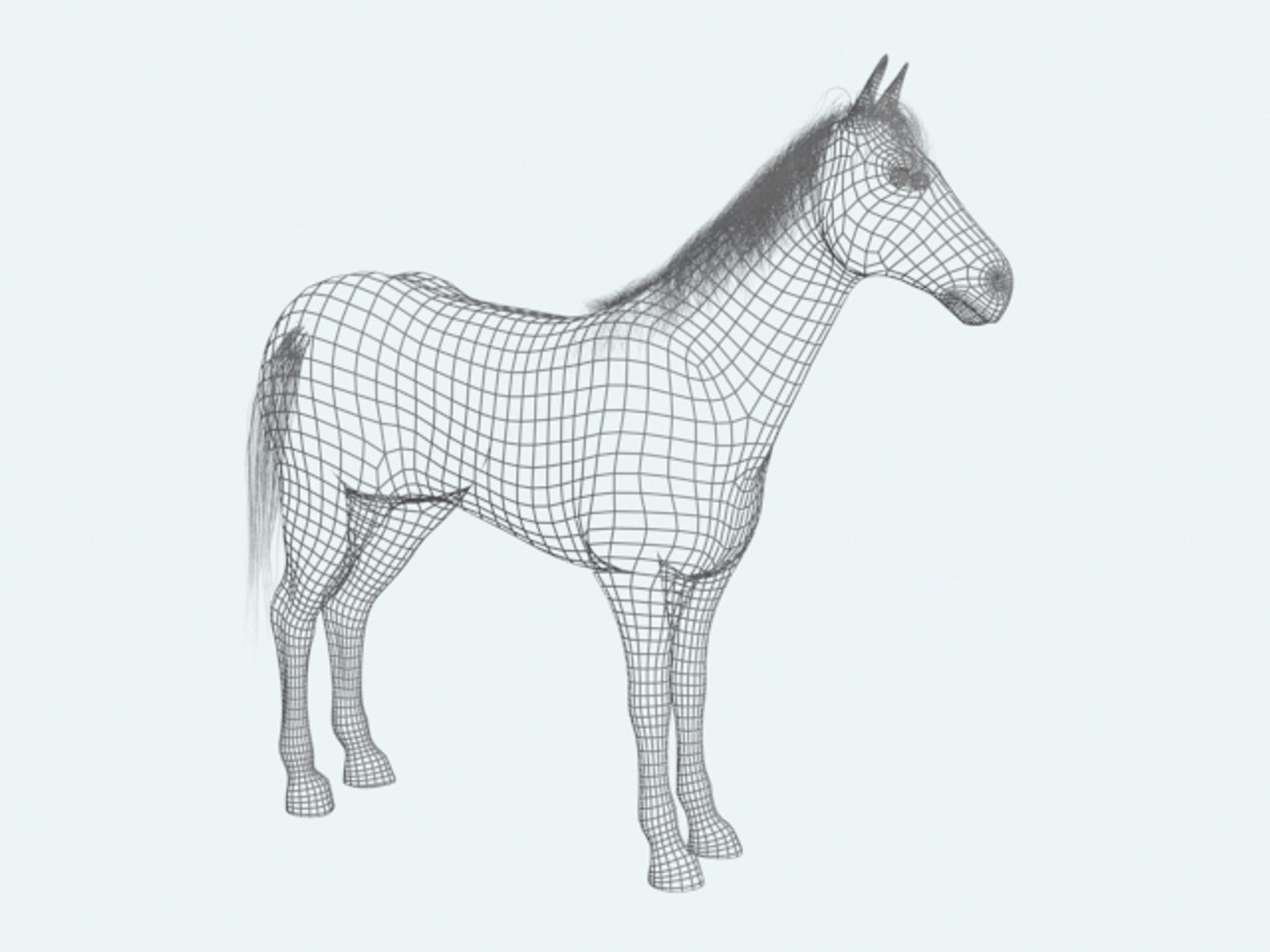 Horse Animation 3d Model